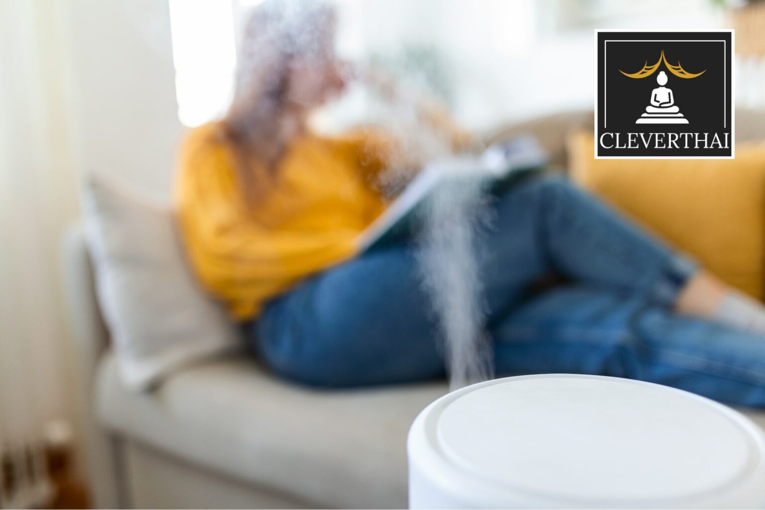 The 5 Best Stores for Humidifiers in Bangkok [2026]