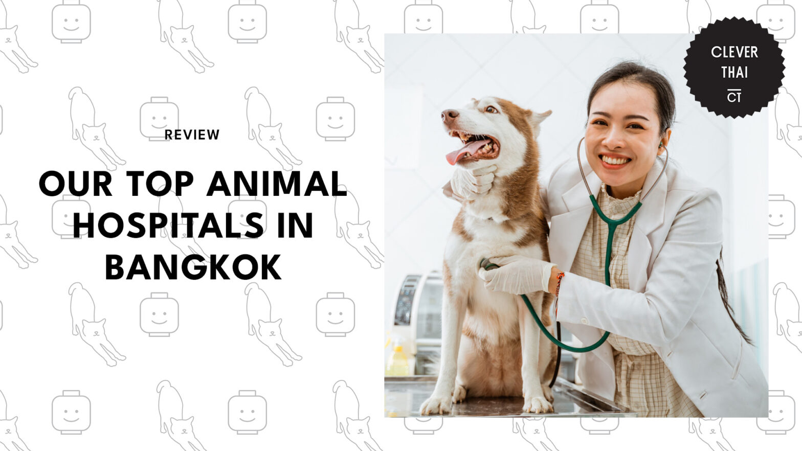 The 7 Best Animal Hospitals in Bangkok [2026 ]