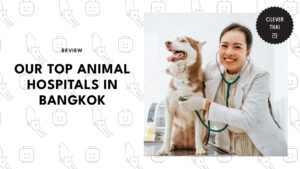 The 7 Best Animal Hospitals in Bangkok [2026 ]