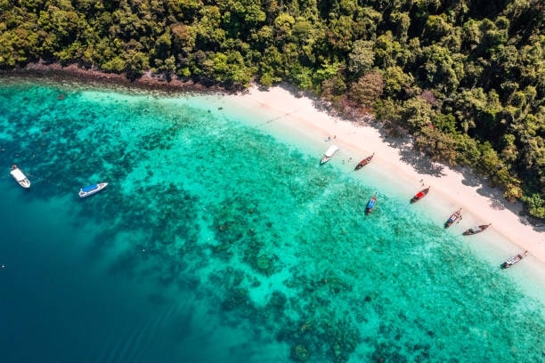Your Go-To Travel Guide for Ton Sai Beach, Thailand