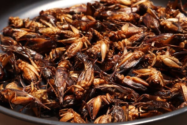 Exotic Eats in Thailand: 15 Must-Try Culinary Delights [2025 ]