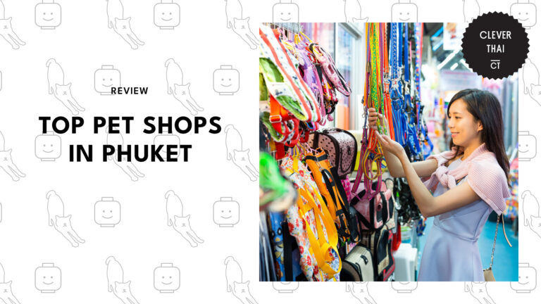 Discover Phuket's Top 5 Pet Stores [2026 ]
