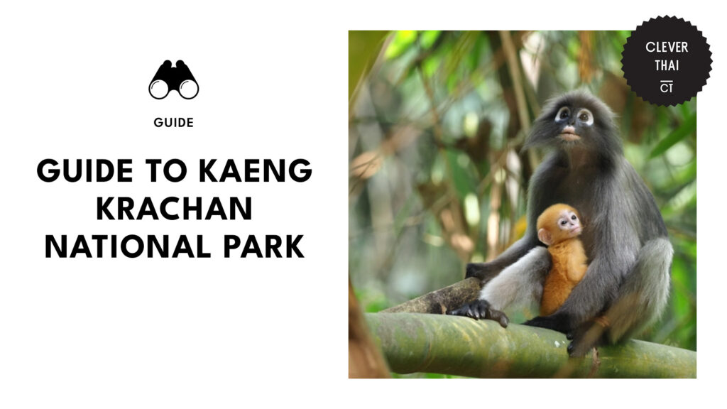 The Essential Travel Guide to Kaeng Krachan National Park