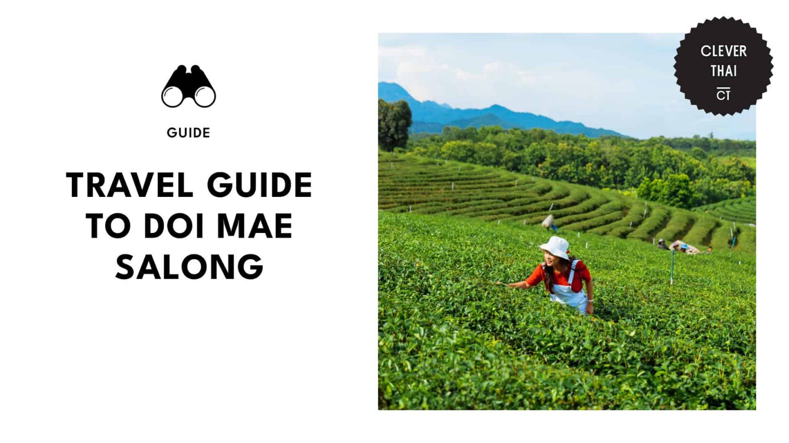 How to ACTUALLY Experience Doi Mae Salong [Complete Guide]