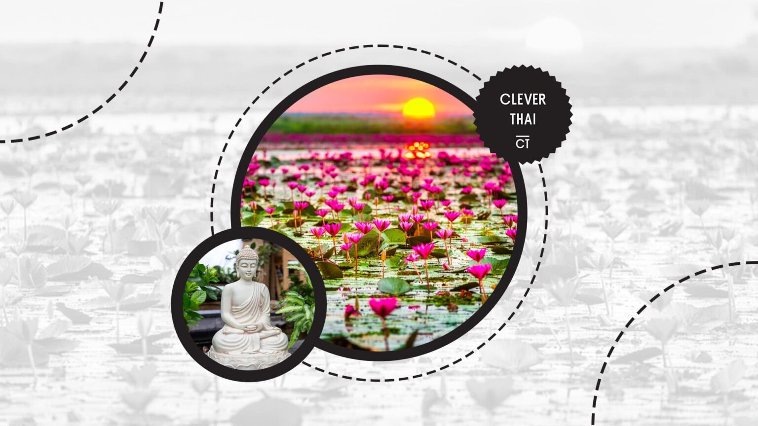 Here’s What You MUST Know about Lotus Flower in Thailand!