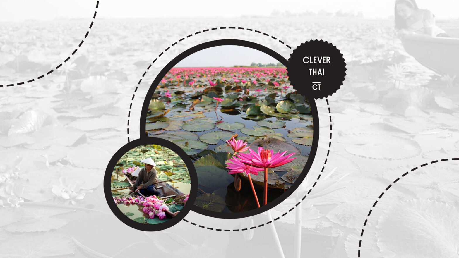 Here’s What You MUST Know about Lotus Flower in Thailand!