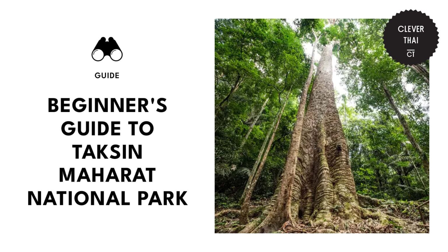 What You NEED to Know about Taksin Maharat National Park
