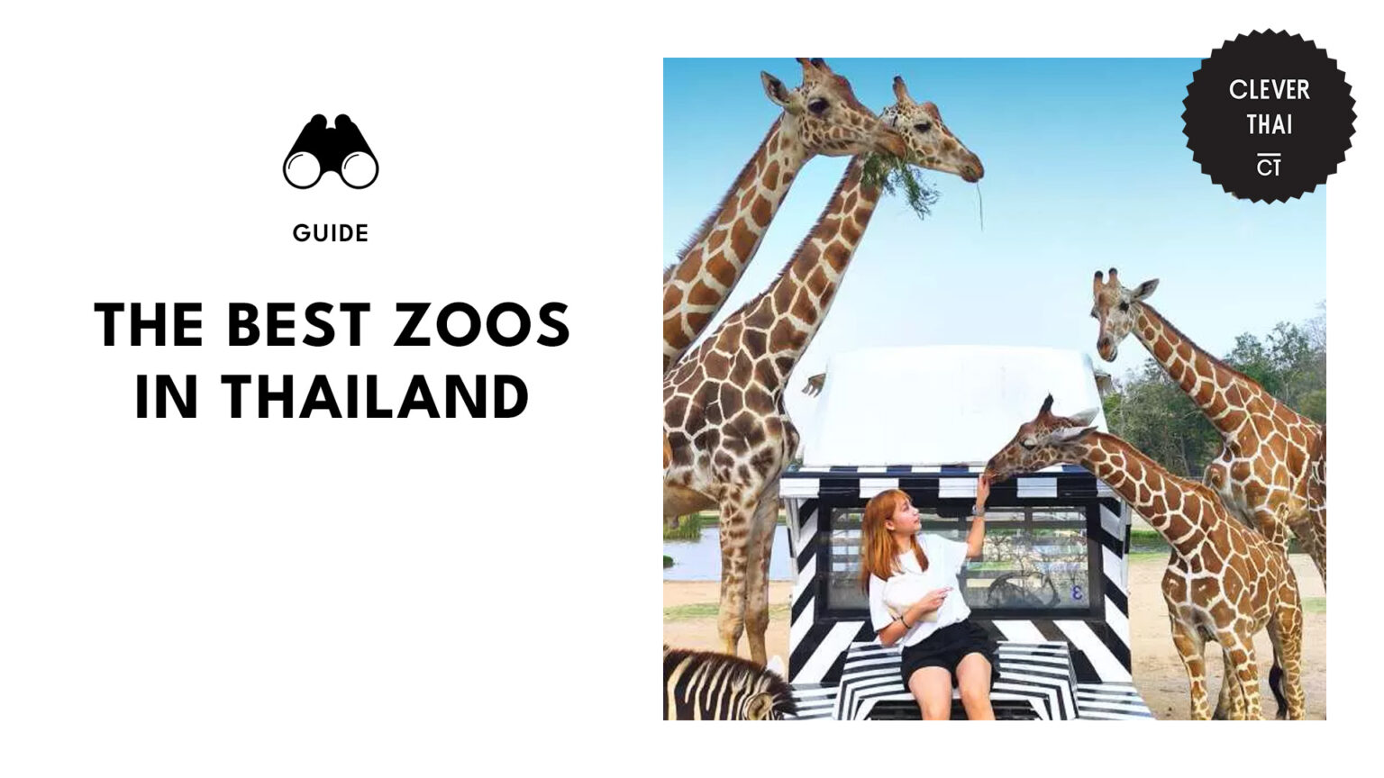 11 Best Zoos in Thailand for a Fun Day Out [2025]