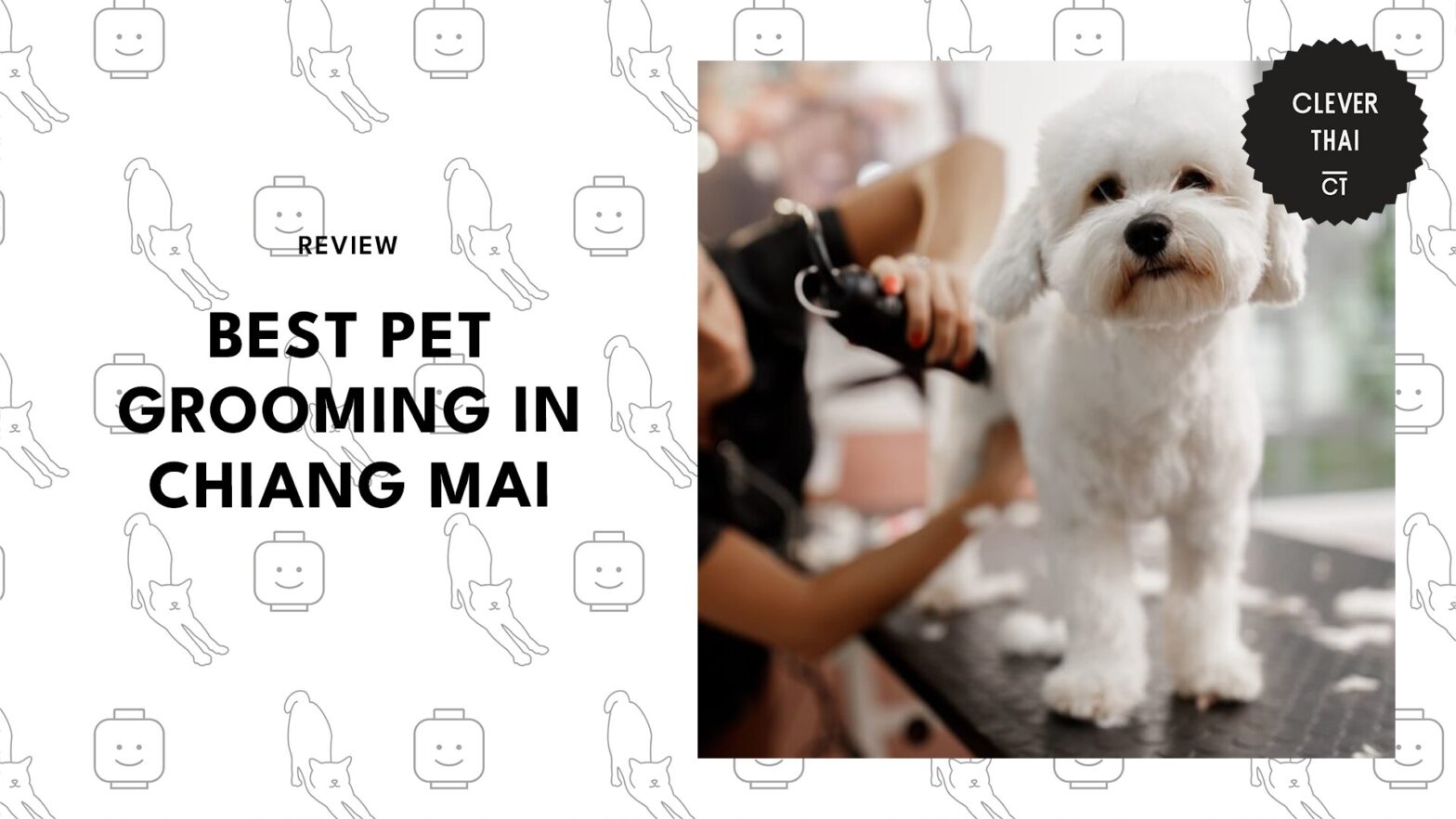Top 5 Pet Grooming Pros in Chiang Mai You Need to Know [2026]